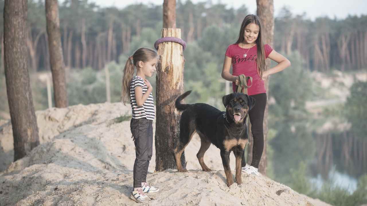 Are Rottweilers Good With Kids? (May Not Be What You Think!)